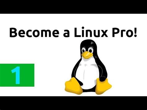 Free Video Linux Command Line Tutorial Basic To Advanced Commands