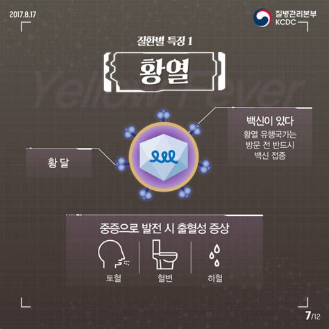 모기 속에 숨은 진짜 악당 플라비 바이러스 카드뉴스 홍보자료 알림·자료 질병관리청