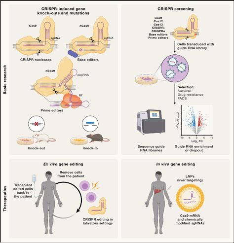 Past Present And Future Of Crispr Genome Editing Technologies