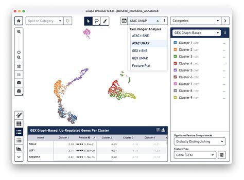 Navigating Multiome Atac Gene Expression Data Software Single Cell