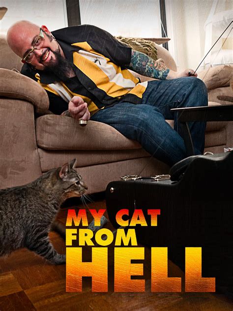My Cat From Hell Season 3 Rotten Tomatoes