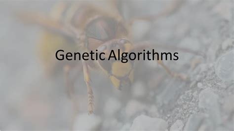 Ppt Evolutionary Computation Powerpoint Presentation Free Download Id2382515