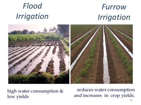 Water Use Efficiency