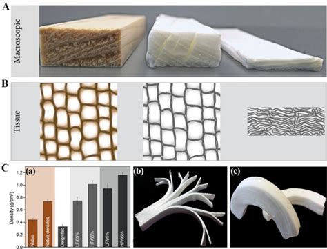 A B Natural Wood Processing Produces White Cellulose Scaffolds The Download Scientific