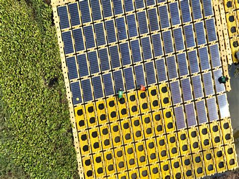 The Science Of Sunlight How Solar Cells Convert Light To Energy SolarFY