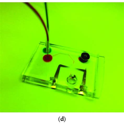 The Fabrication Of The Microfluidic System For Sorting And Counting Download Scientific Diagram