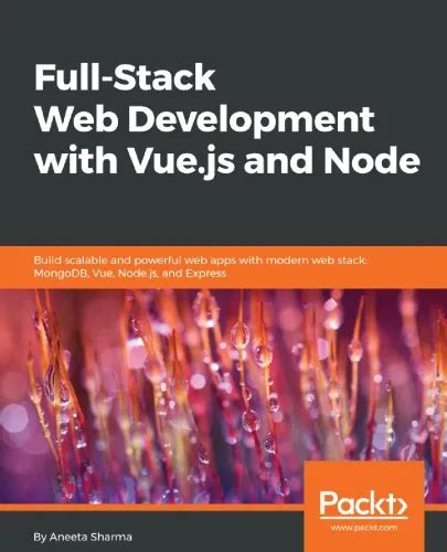 Full Stack Web Development With Vuejs And Node Build Scalable And