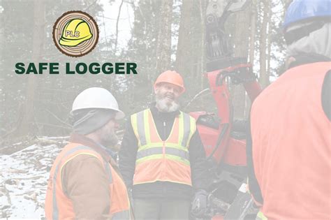 Safe Logger Plc Of The Northeast
