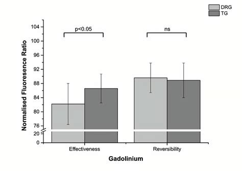 The Effects Of The Gadolinium On Intracellular Calcium In Rat Tg And Download Scientific
