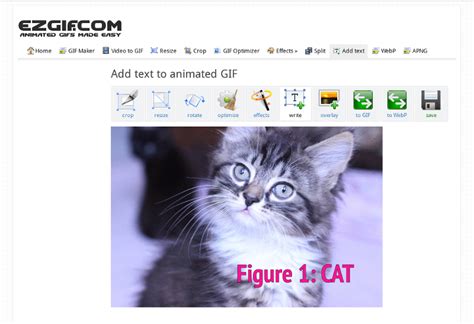 add text to animated apng webp