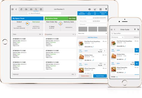 hire wordpress developers and programmers my web programmer