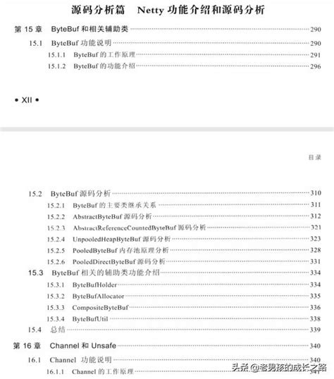 526頁netty參考指南，電子版已就緒，面試大廠不再被網絡通信難倒 每日頭條
