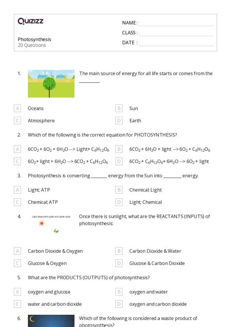 50 Photosynthesis Worksheets On Quizizz Free And Printable