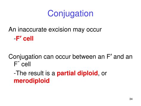 Ppt Exploring Prokaryotic Diversity And Structure Powerpoint Presentation Id 9432178
