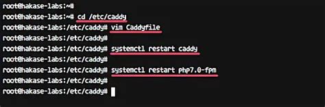 How To Install Caddy Web Server With Php Fpm On Ubuntu 1604
