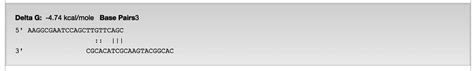 Why Do I Get Small Bands Primer Dimer In My PCR ResearchGate