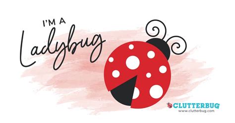 Ladybug Clutterbug