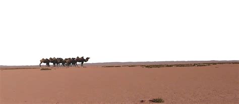 Уул уурхайн нягтлан бодох бүртгэл Facebook