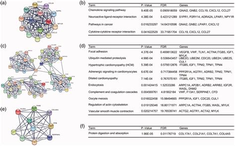 the protein protein interaction networks of top three modules module 1