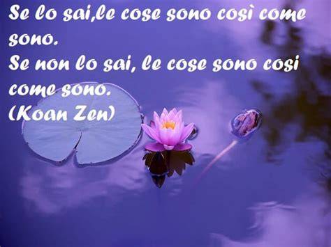 Frasi Zen 208 Pensieri Immagini E Video Da Condividere Frasidadedicare