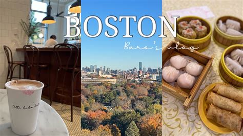 보스턴vlog🇺🇸 가을 바이브 한스푼 더한 미국주부일상 코스트코 웨그먼스 장보기 보스턴 맛집 미국마트 미국주부 미국이민 브이로그 Youtube