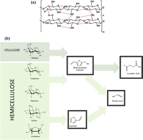 A Representation Of The Structure And Intramolecular Hydrogen Bonding