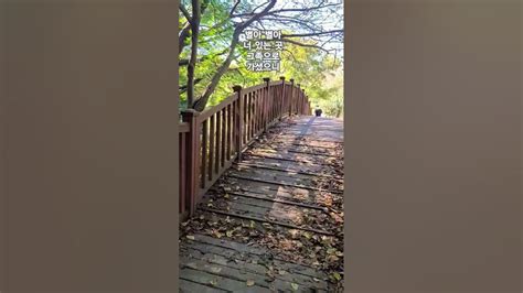 별아 별아 박서진 장구의신 트로트 가요 박서진 건어물 Shorts Youtube