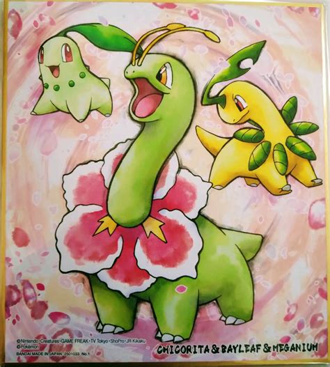 Pokemon Meganium Wallpaper