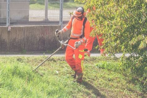 배터리 잔디 트리머 독일 마에 제방의 잔디를 깎고 정원사 교통에 대한 스톡 사진 및 기타 이미지 교통 기계류 노랑 Istock