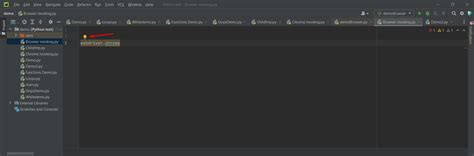 Selenium Python Invoke Chrome Browser Load Site To Automate