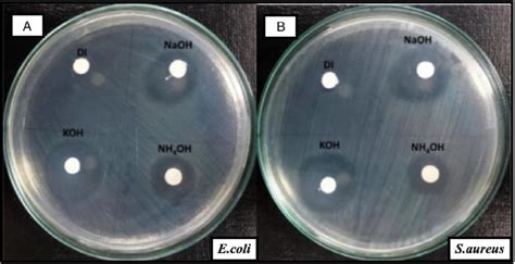 A Bacteria Inhibition Of Escherichia Coli And B Staphylococcus