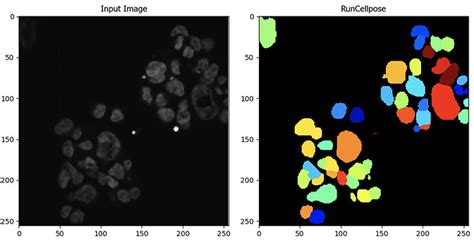 3d segmentation cellprofiler issues image analysis image sc forum