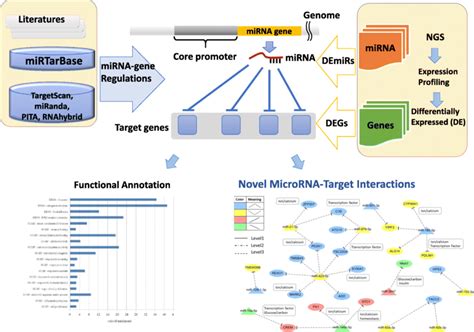 Schematic Overview Of The Computational Approaches To Reconstruct The
