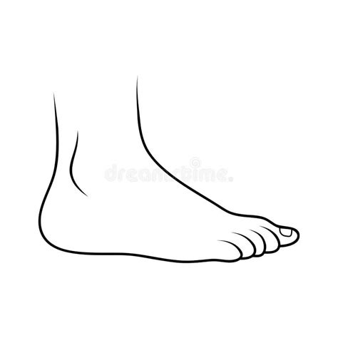 Foot Icon Outline Design Isolated On White Background Stock Vector Illustration Of Drawn
