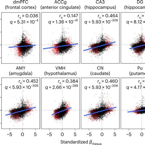 Parallel Age Associated Transcriptional Signatures Between Macaques And Download Scientific