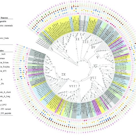 A Molecular Modeling Of Pediocin Like Bacteriocins Of P Pentosaceus Download Scientific
