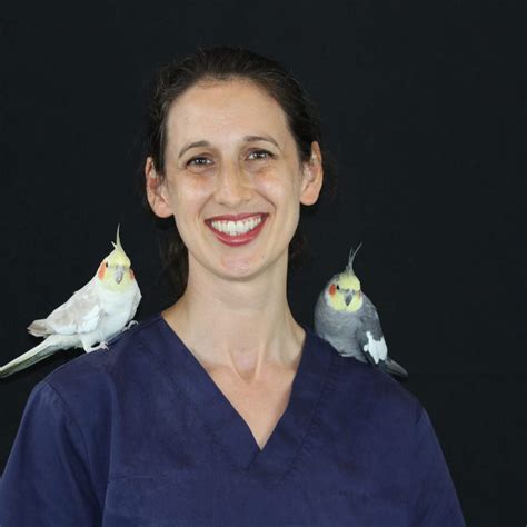 About Us Bird Vet Melbourne Bird Vet Avian Vet Clinic