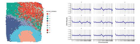 空转分析方法拾遗spata2 Cnv Csdn博客