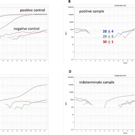 illustrative amplification plots positive and negative controls a