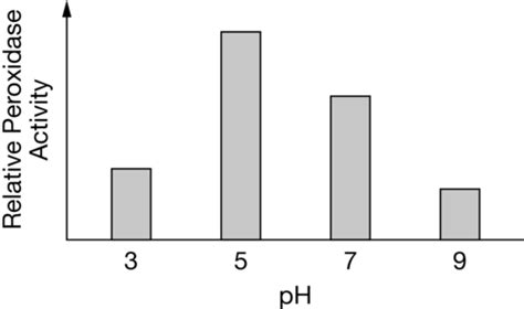 Ap Biology Chapter 7 Flashcards Quizlet