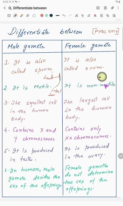 Differences Between Male Gametes And Female Gametes Class X Shorts