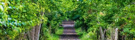 Draft 1 Of The Post 2020 Global Biodiversity Framework Post2020