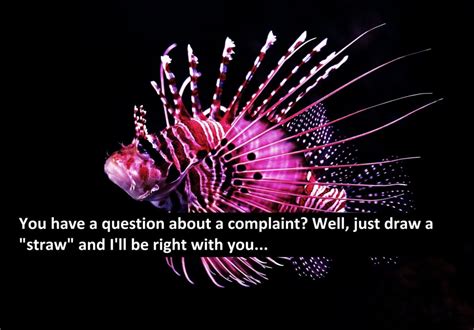 Skype And Teams “notification” Emails Are Probably Fraudulent Cybersecurity News And Alerts