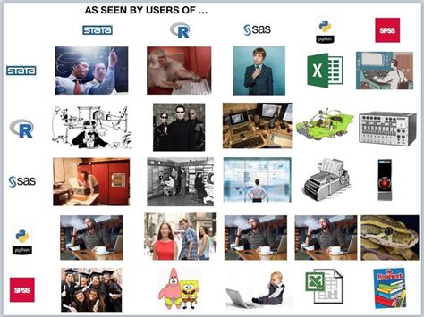 As Seen By Users Of Stata R Sas Python Spss Data Science