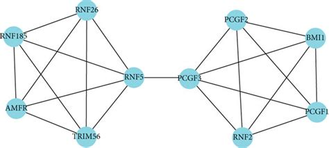 Go Enrichment Kegg Pathway And Ppi Network Analyses Of Differentially