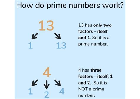 prime numbers pdf