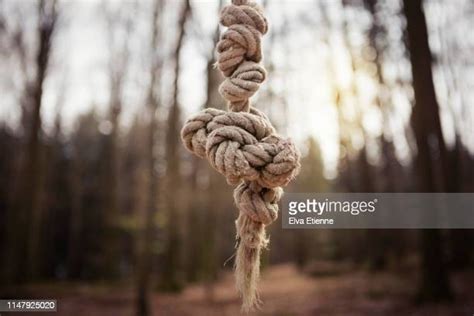 Knotted Rope Photos And Premium High Res Pictures Getty Images