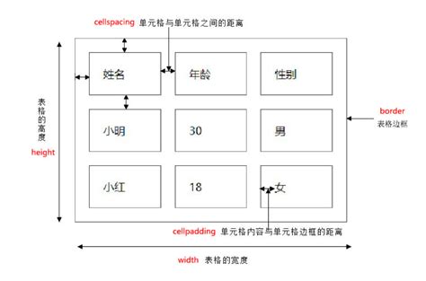HTML CSS总结 CSDN博客