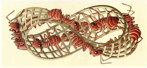 Sex Gender Sexuality And Neuroscience