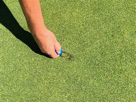 How To Properly Repair Golf Ball Marks On The Green Michigan Golf Matrix
